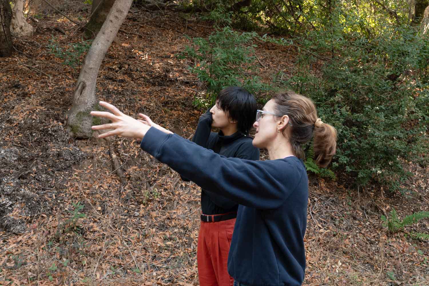 FAQ - Lens - Upstream Tech